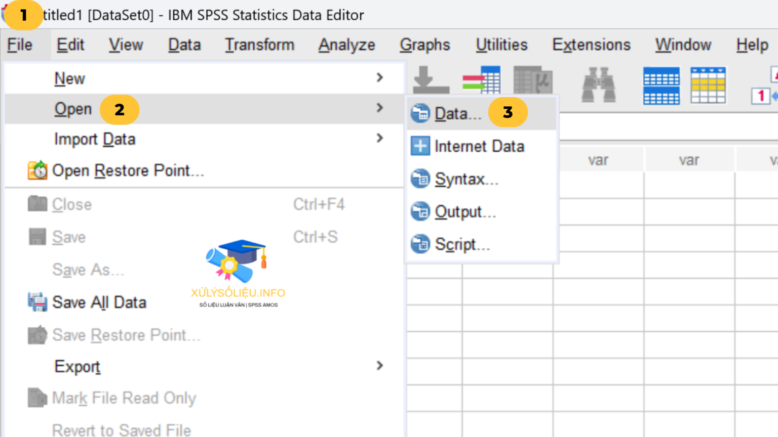Hướng dẫn nhập liệu, import data vào phần mềm SPSS 27, 26, 20
