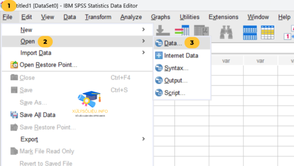 Hướng dẫn nhập liệu, import data vào phần mềm SPSS 27, 26, 20