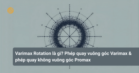 Varimax Rotation là gì? Phép quay Varimax & Promax